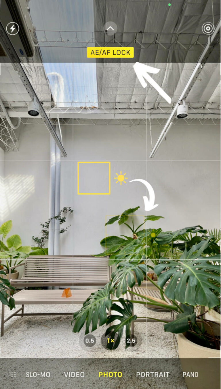 Apple iPhone: 10 Best Photo Tips and Settings