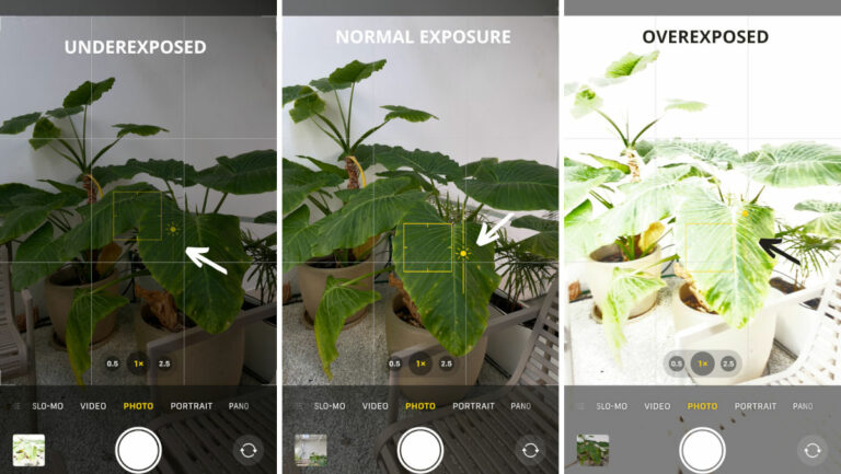 Apple iPhone: 10 Best Photo Tips and Settings